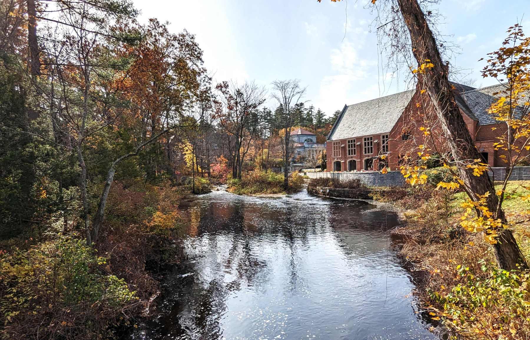 Aloft with Inspiration | where words and watercolor soar together