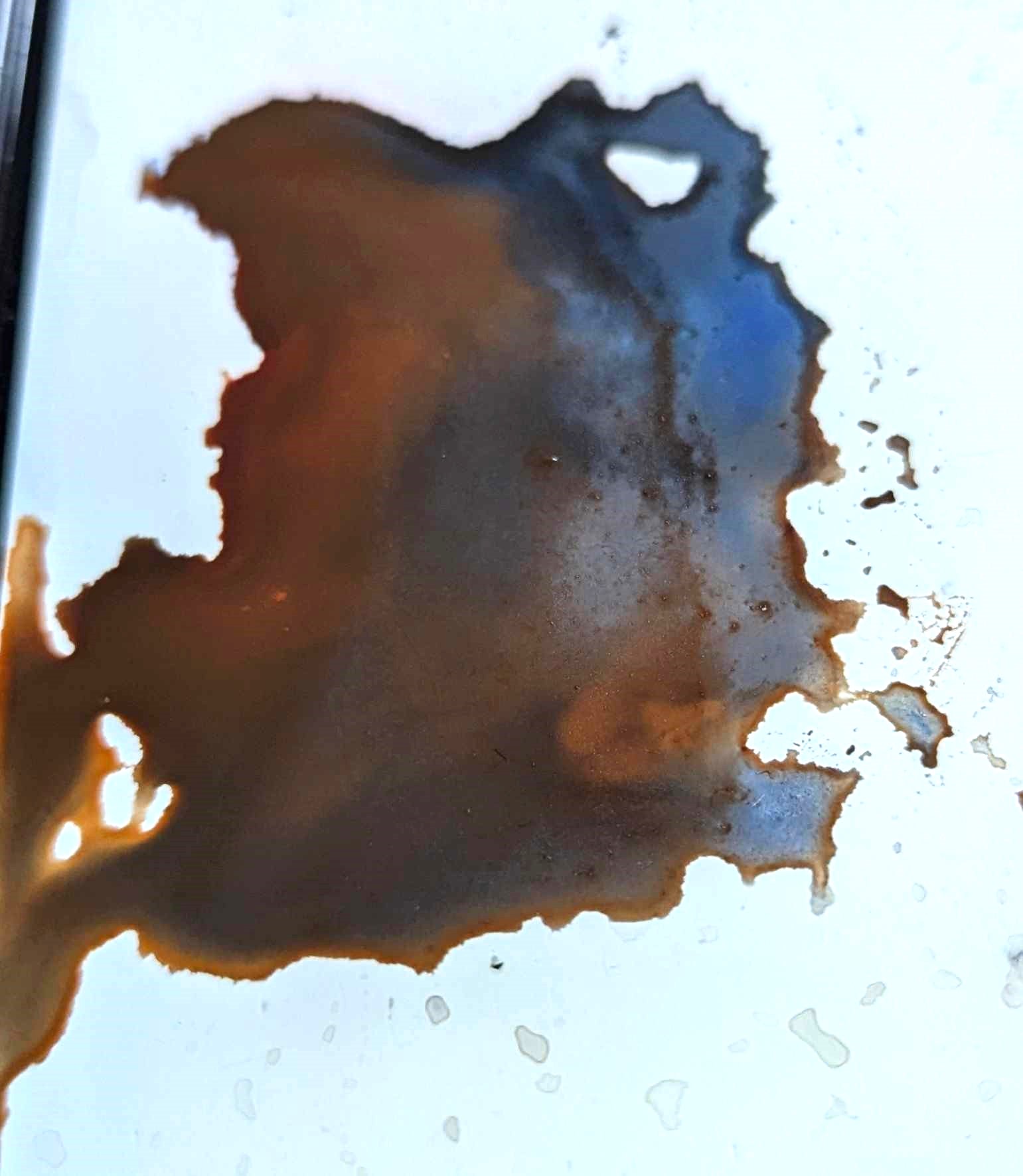 Aloft with Inspiration | where words and watercolor soar together